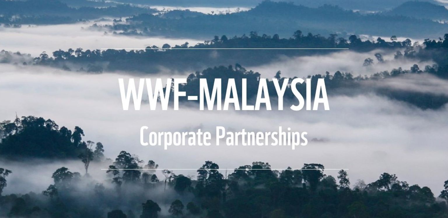 WWF-Malaysia Corporate Partnerships | CCI France Malaisie