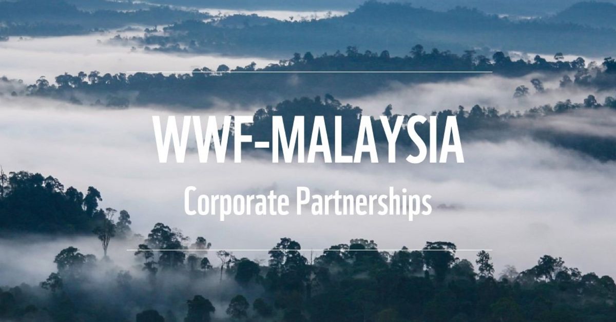 WWF-Malaysia Corporate Partnerships | CCI France Malaisie