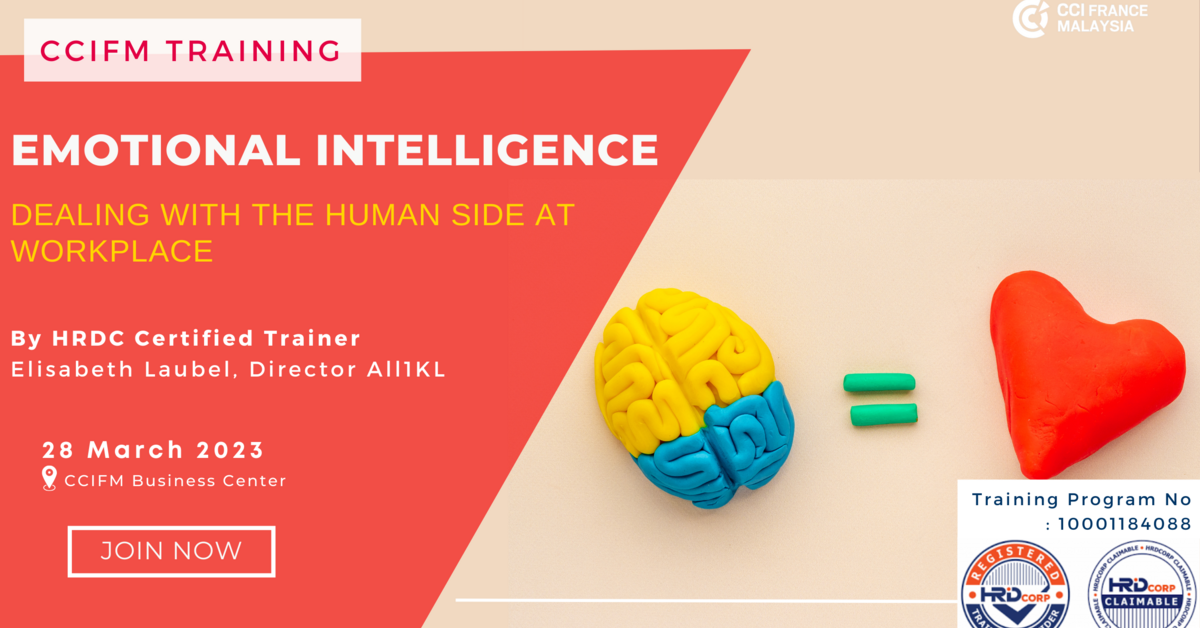 CCIFM Training: Emotional Intelligence (HRDC Claimable) | CCI France ...